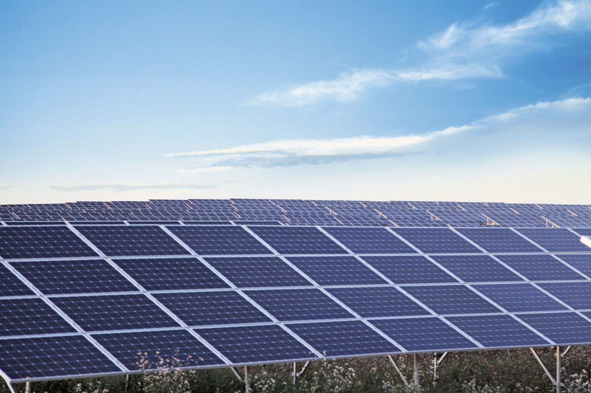 Development of Bifacial PERC Technology enters the Mainstrea