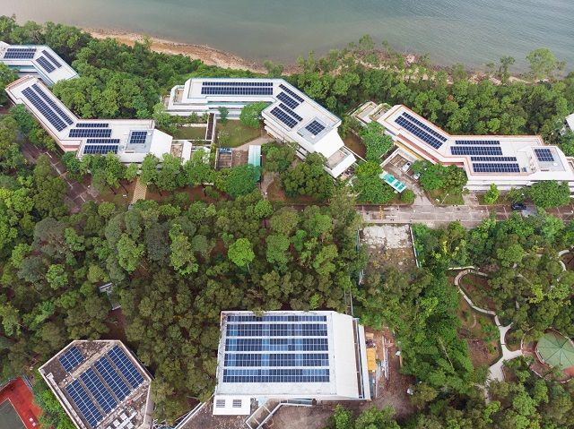 LONGi creates economic benefits and educational opportunities to